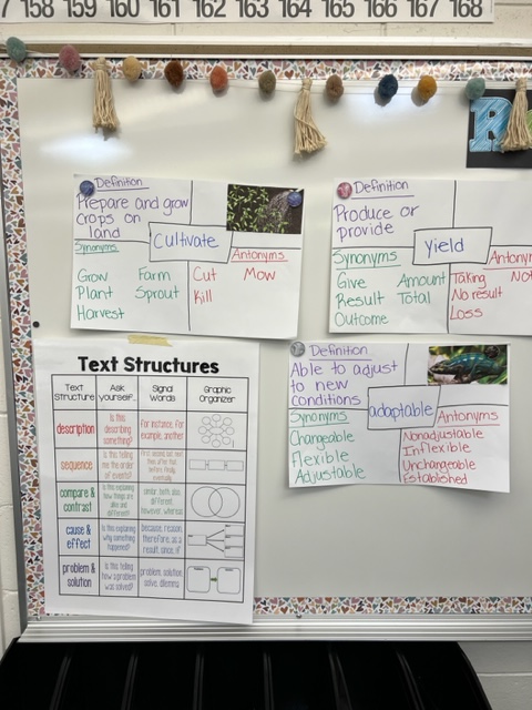 Benchmark Advance Unit 1, Week 1 – The Blissful Teacher